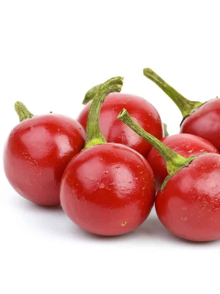 Chili Pepper Types - A List of Chili Peppers and their Heat Levels ...