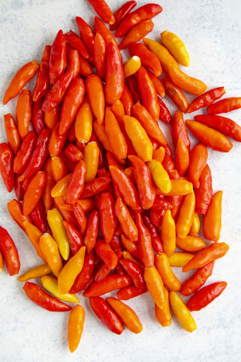 Tabasco Peppers: All About Them - Chili Pepper Madness