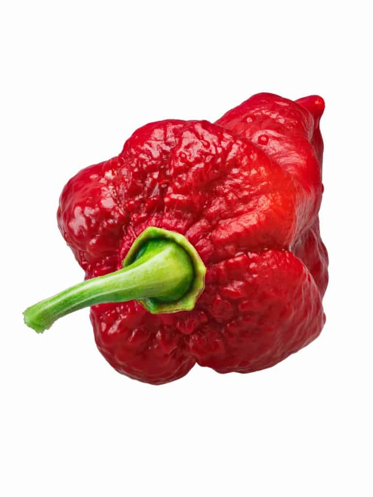 Superhot Chili Peppers, Hottest Chili Peppers in the World - a list of ...