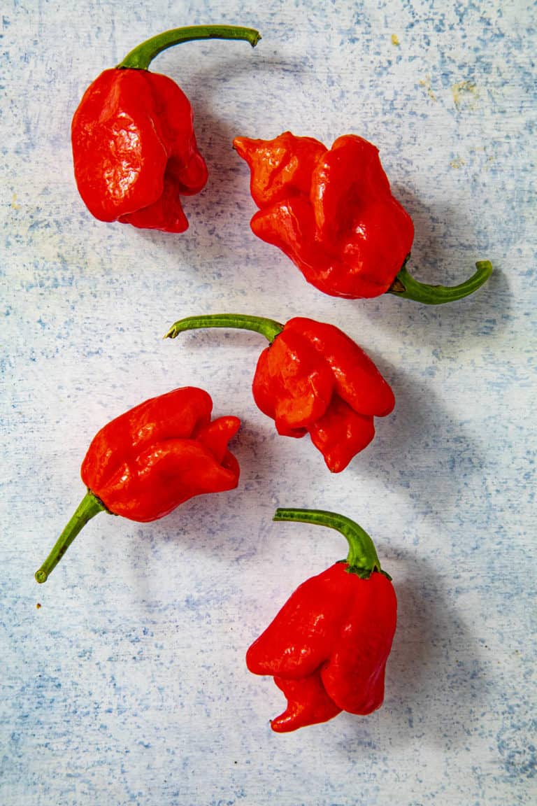 Trinidad Scorpion Pepper - Chili Pepper Madness