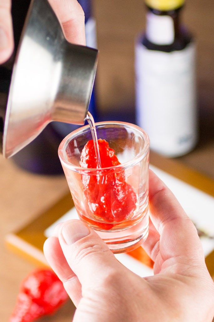 How to Infuse Alcohol with Chili Peppers - A Guide - Chili Pepper Madness