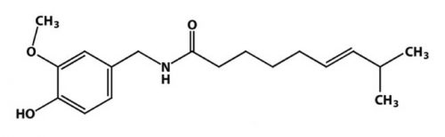 What is Capsaicin? Heat Level, Health Benefits and More - Chili Pepper ...