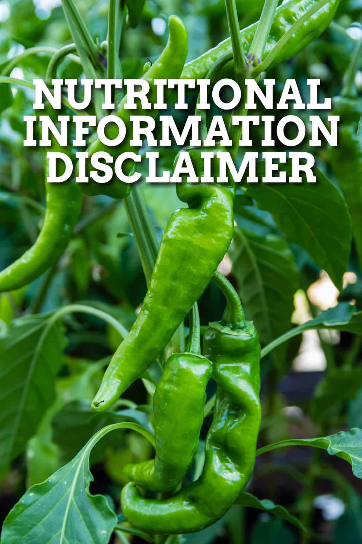 Nutritional Information Disclaimer - Chili Pepper Madness