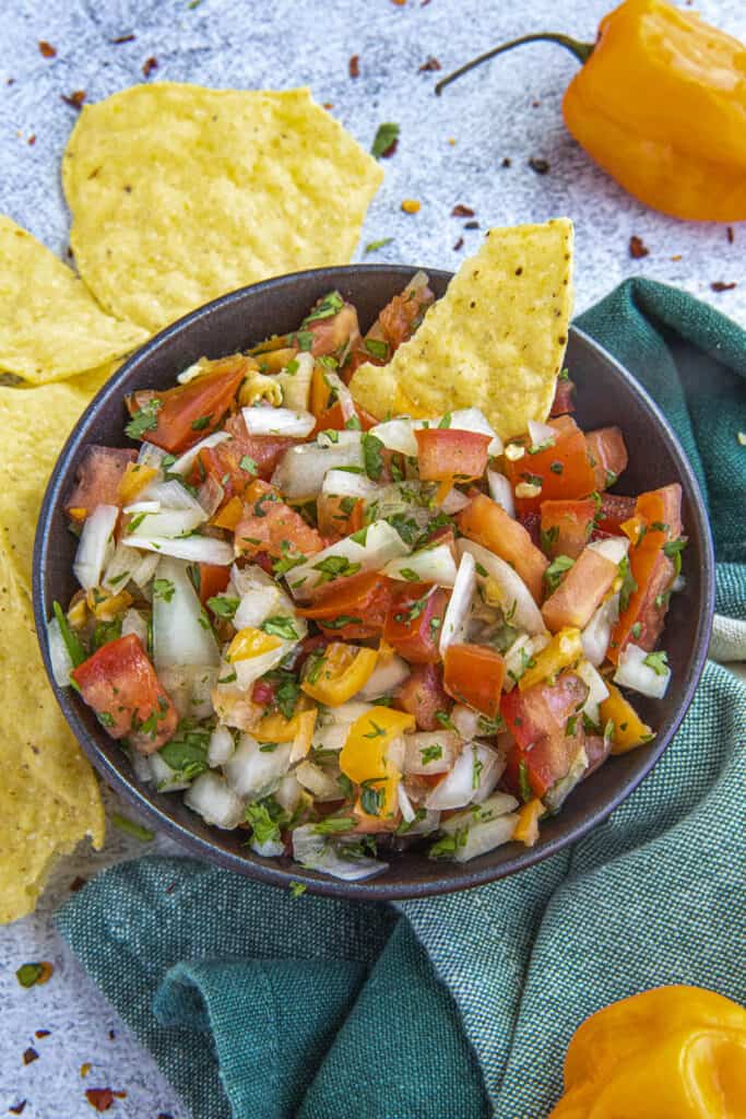 Xni-Pec - Habanero Salsa Recipe- Chili Pepper Madness