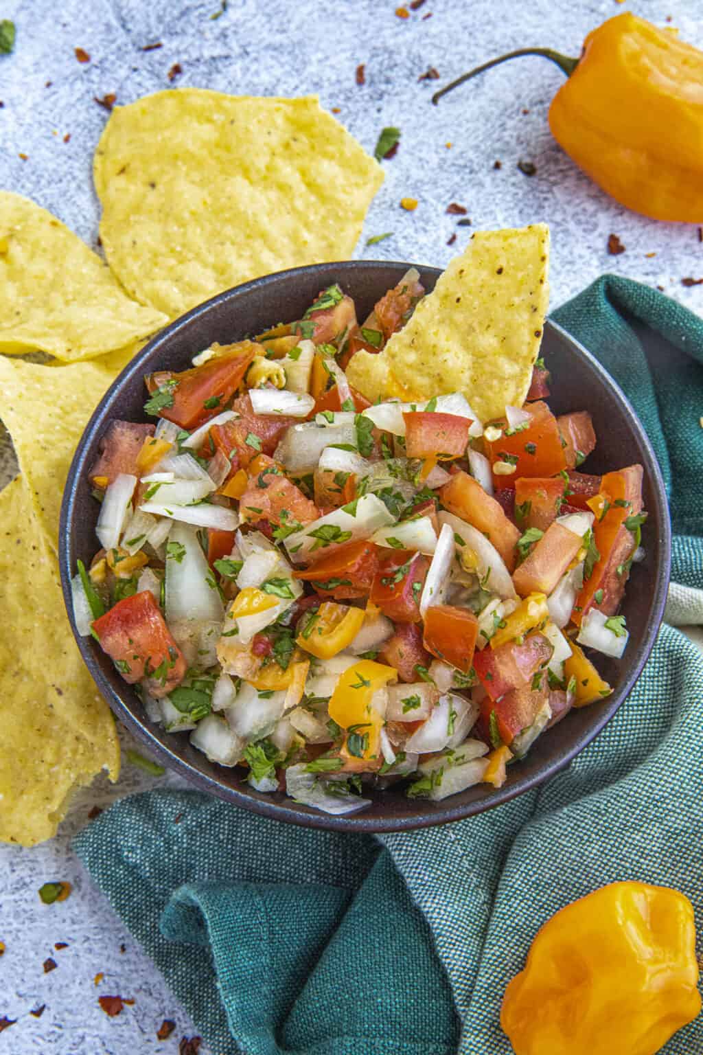 10 Ways to Use a Large Habanero Pepper Harvest - Chili Pepper Madness