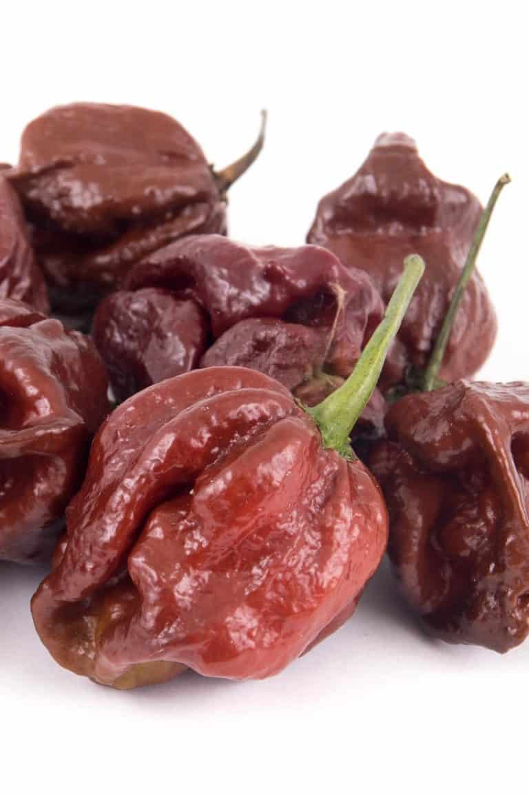 Chili Pepper Types - A List of Chili Peppers and their Heat Levels ...