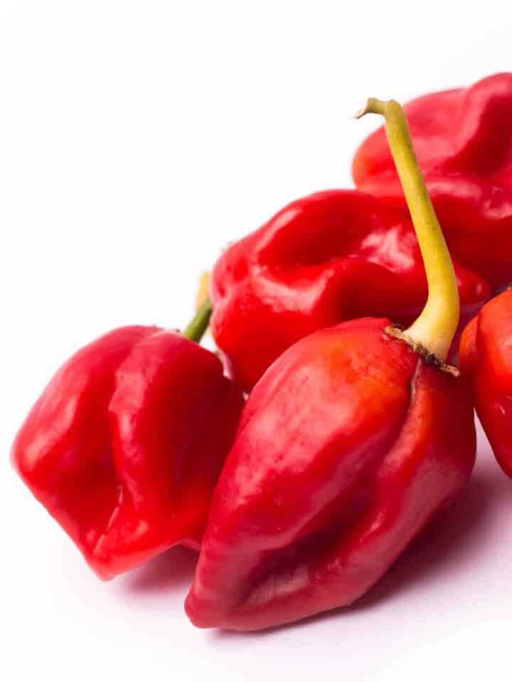 Superhot Chili Peppers, Hottest Chili Peppers in the World - a list of ...