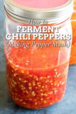 How to Make Fermented Pepper Mash - Chili Pepper Madness