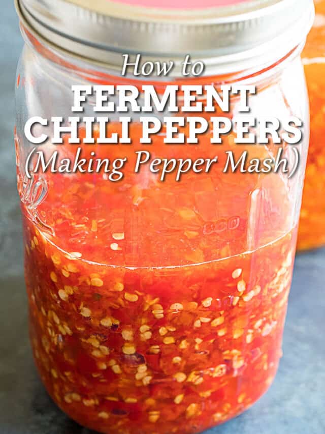Preserving - Chili Pepper Madness