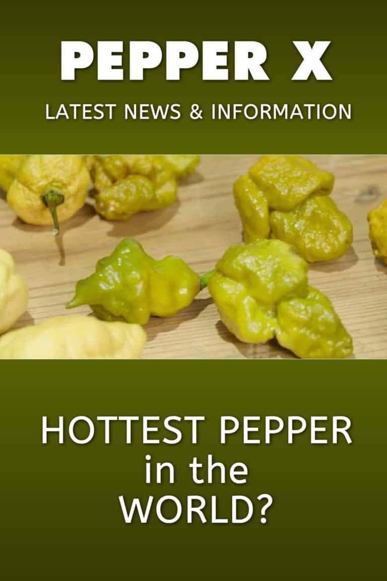 Pepper X (Hottest Pepper in the World) – Latest News and Information ...