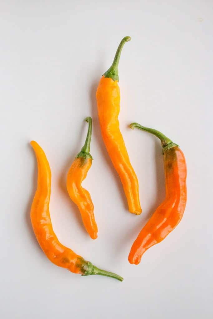 Cayenne Buist's Yellow Chili Pepper - Chili Pepper Madness