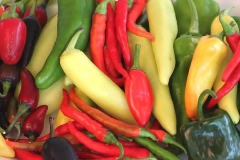 How Do You Measure Chili Pepper Heat? - Chili Pepper Madness