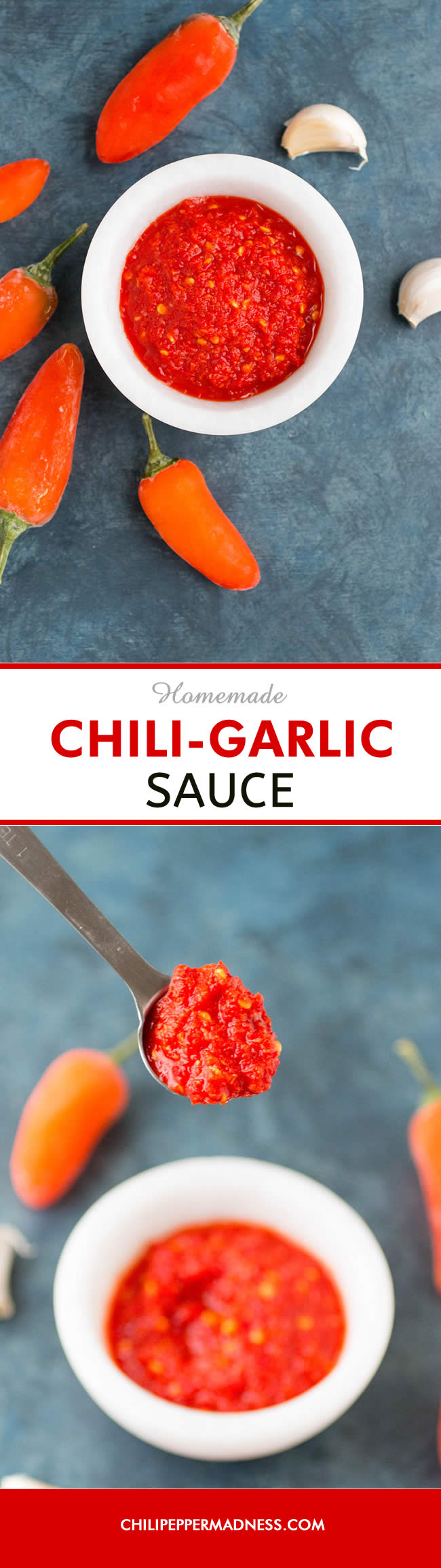 Homemade Chili Garlic Sauce Recipe Chili Pepper Madness