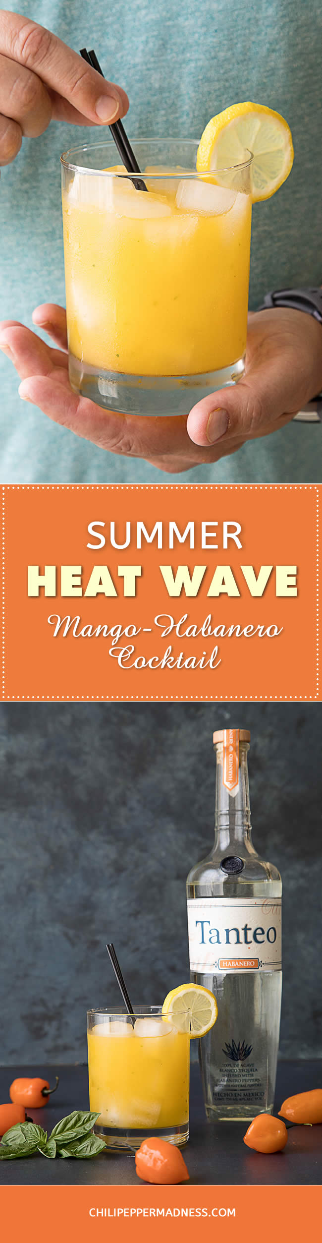 The Summer Heat Wave - A Fiery Mango-Habanero Cocktail Recipe - Chili ...