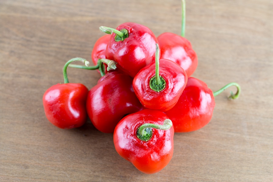 Rocoto Chili Peppers - Chili Pepper Madness