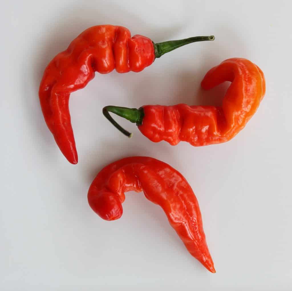 Hot Chili Peppers - List of Hot Chili Peppers by Heat Level - Chili ...
