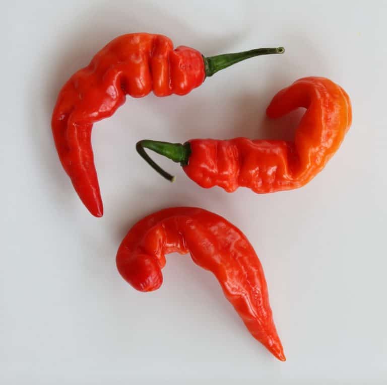 Hot Chili Peppers - List of Hot Chili Peppers by Heat Level - Chili ...