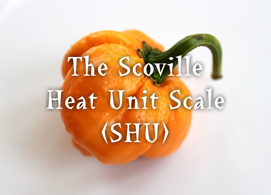 The Scoville Scale - Chili Pepper Madness