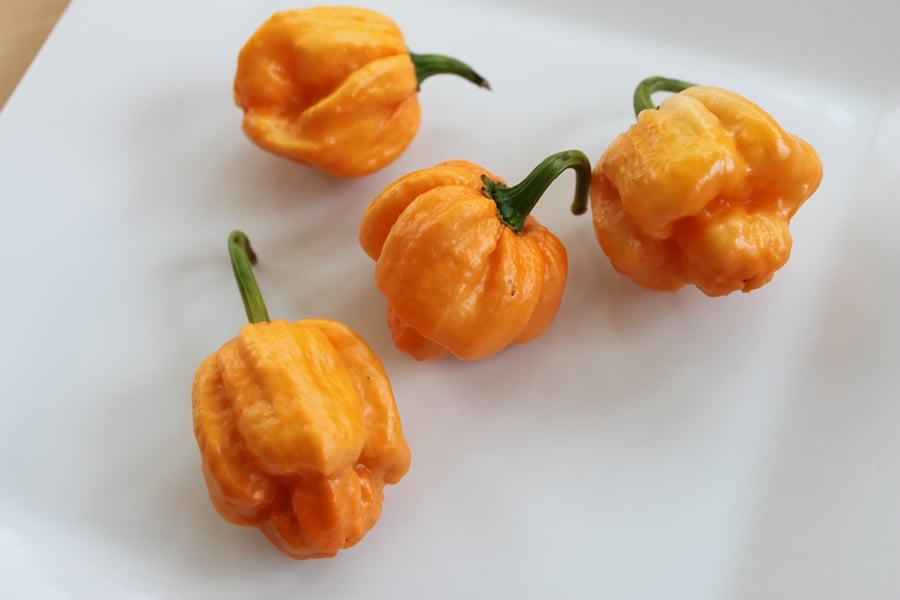 What is Capsaicin? - Chili Pepper Madness