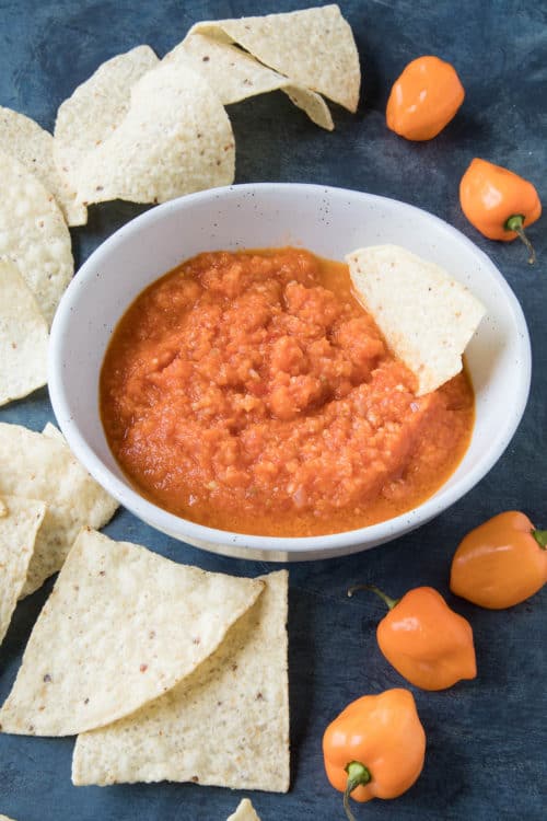 Habanero Salsa Recipe - Chili Pepper Madness