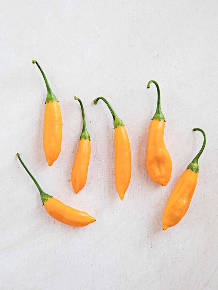Medium-Hot Spicy Chili Peppers - list of spicy chili peppers by heat ...