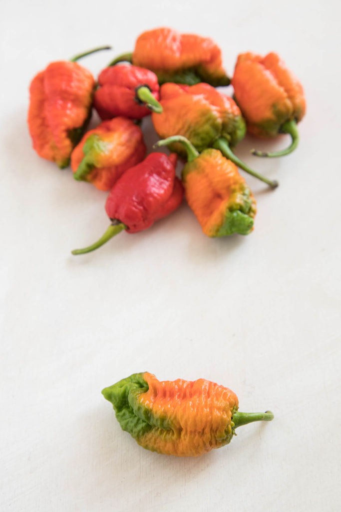 Brain Strain Chili Peppers - Chili Pepper Madness