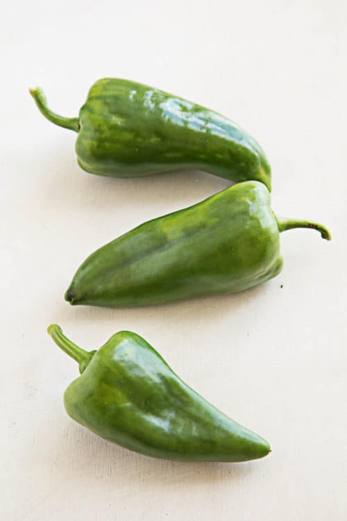 Super Shepherd Chili Pepper - Chili Pepper Madness