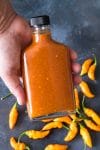 Datil Pepper Sauce - Recipe - Chili Pepper Madness