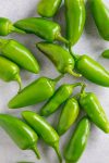 Jalapeno Peppers - All About Them - Chili Pepper Madness