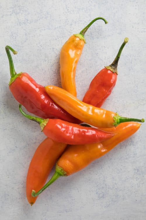 Chilean Pebre - Chili Pepper Madness