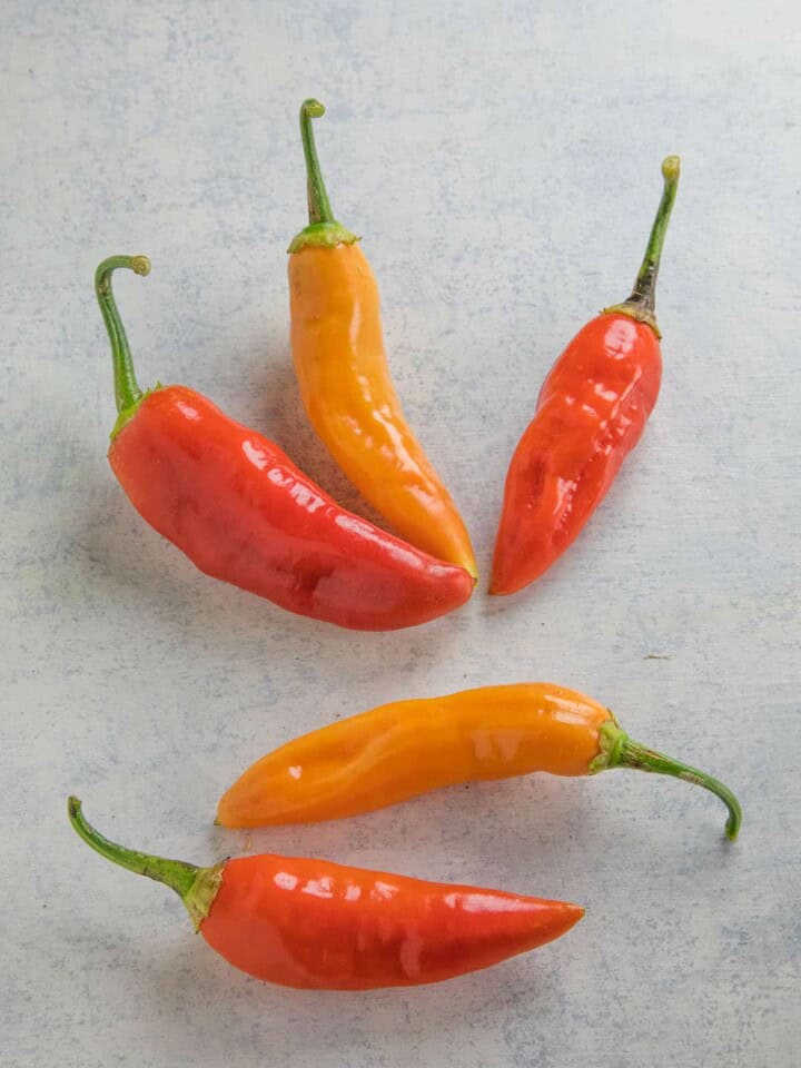 Chili Pepper Types - A List of Chili Peppers and their Heat Levels ...