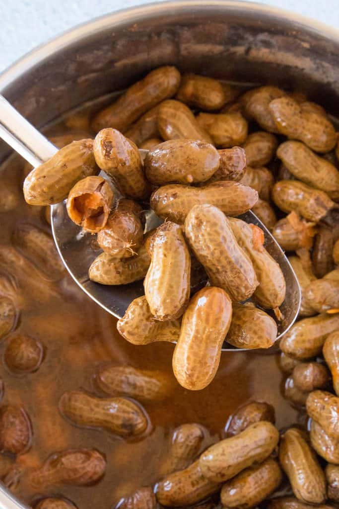 Cajun Boiled Peanuts - Chili Pepper Madness