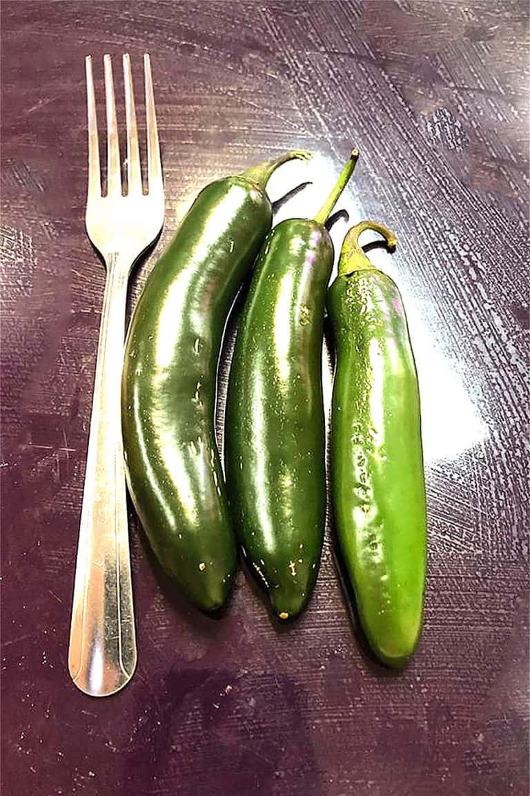 NuMex CaJohns Serrano - One HUGE Serrano - Chili Pepper Madness