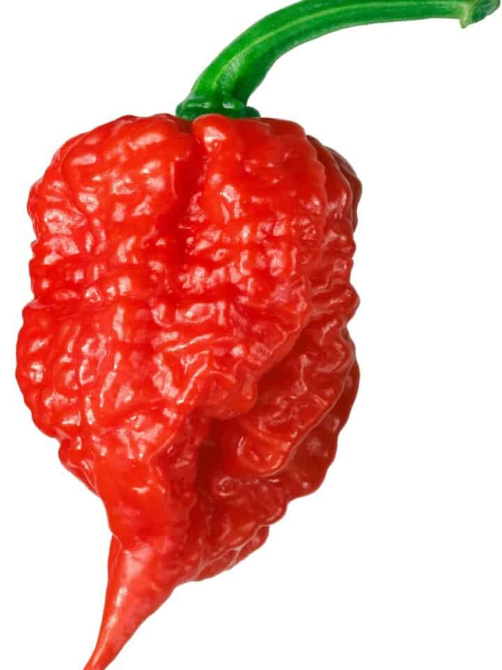 Chili Pepper Types - A List of Chili Peppers and their Heat Levels ...
