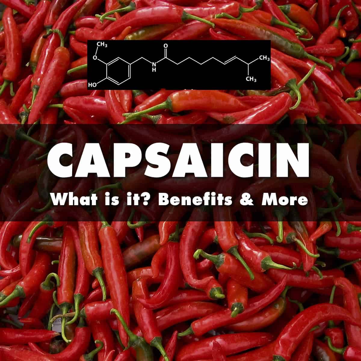 What is Capsaicin? Heat Level, Health Benefits and More - Chili Pepper ...