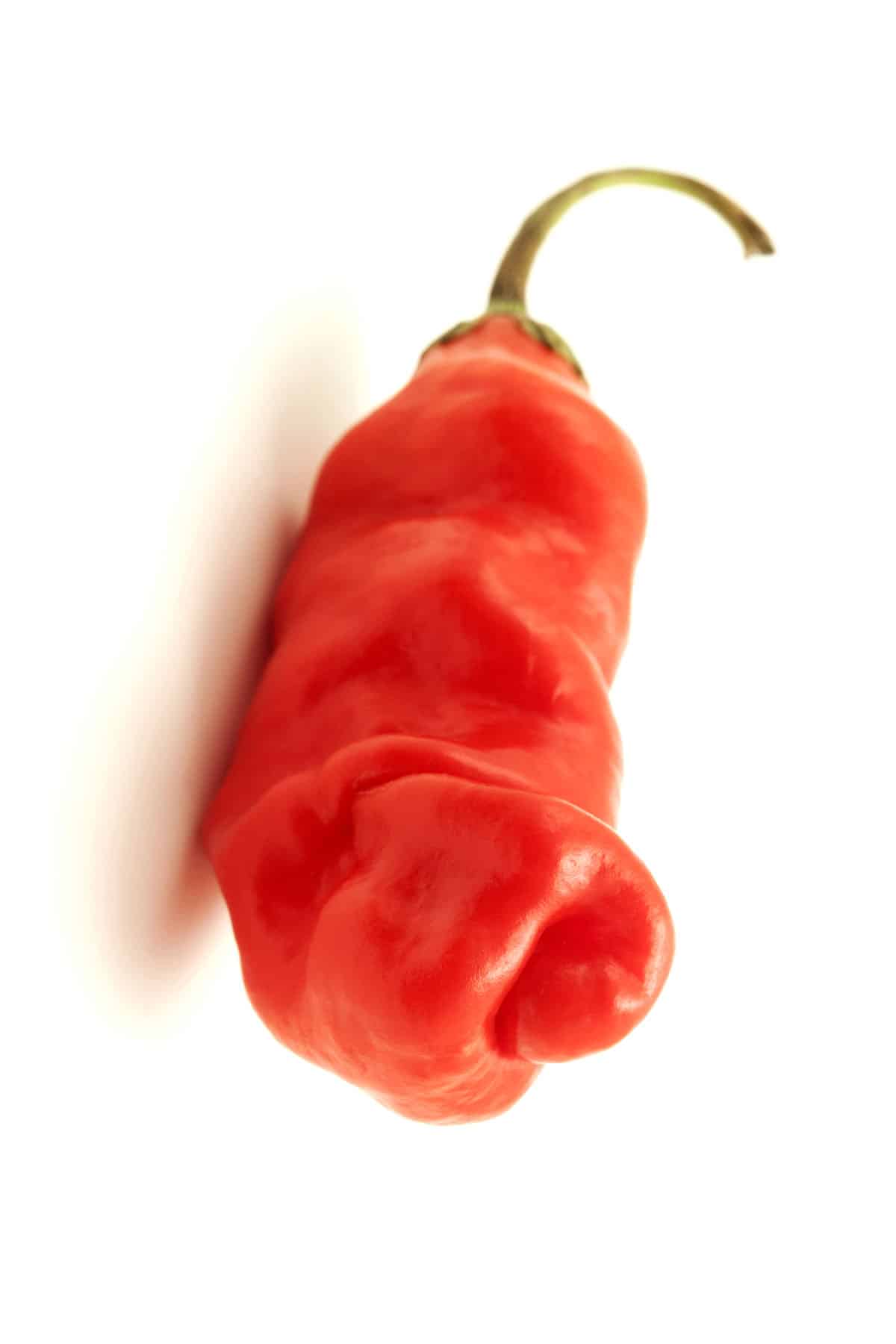 Peter Pepper: The Oddly Shaped Chili Pepper - Chili Pepper Madness