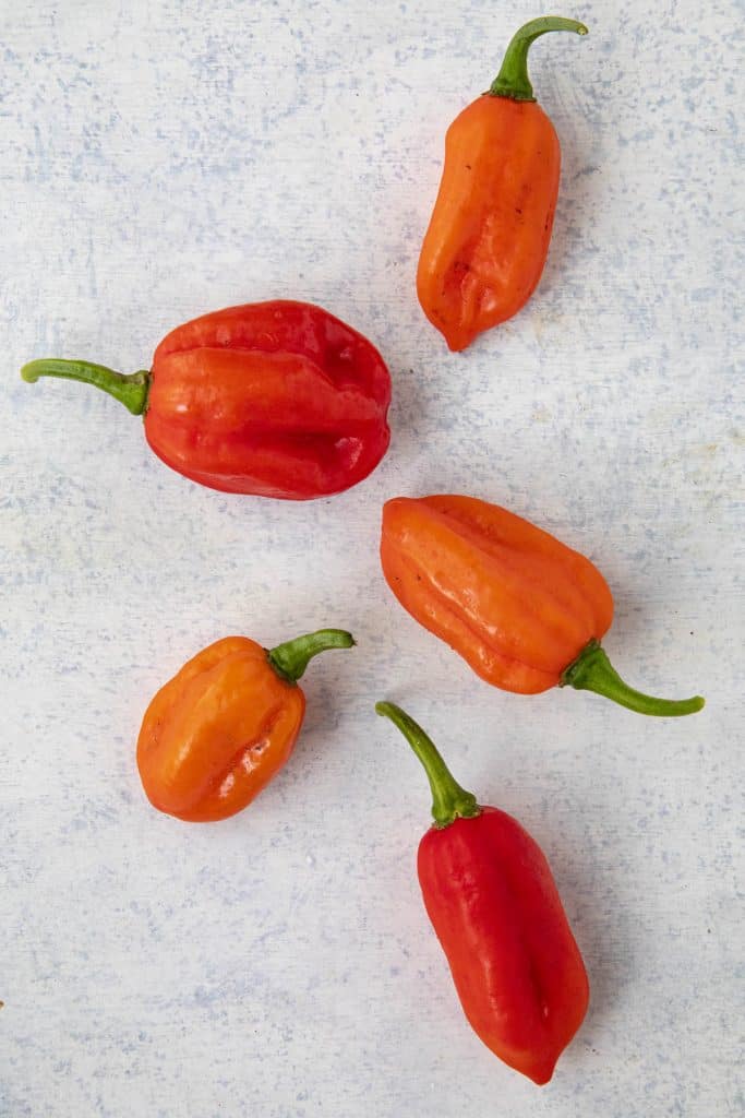 Aji Dulce: Mild Caribbean Peppers - Chili Pepper Madness