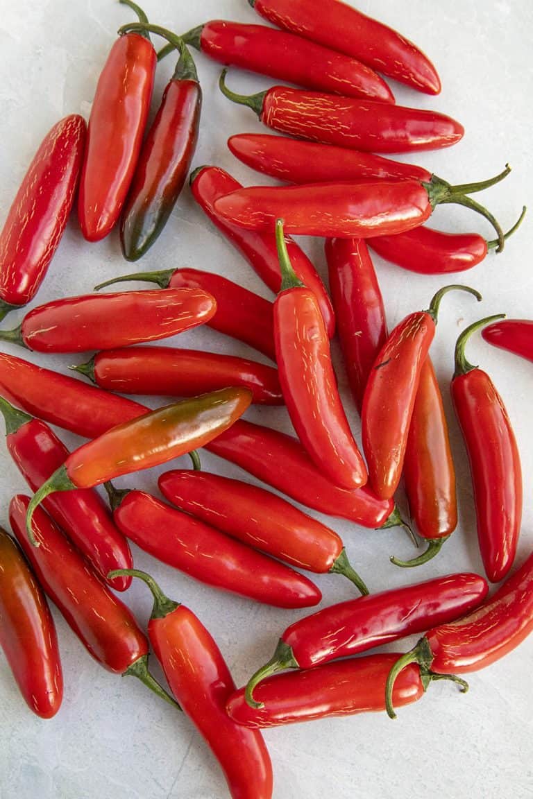 Fermented Hot Sauce Recipe - Chili Pepper Madness