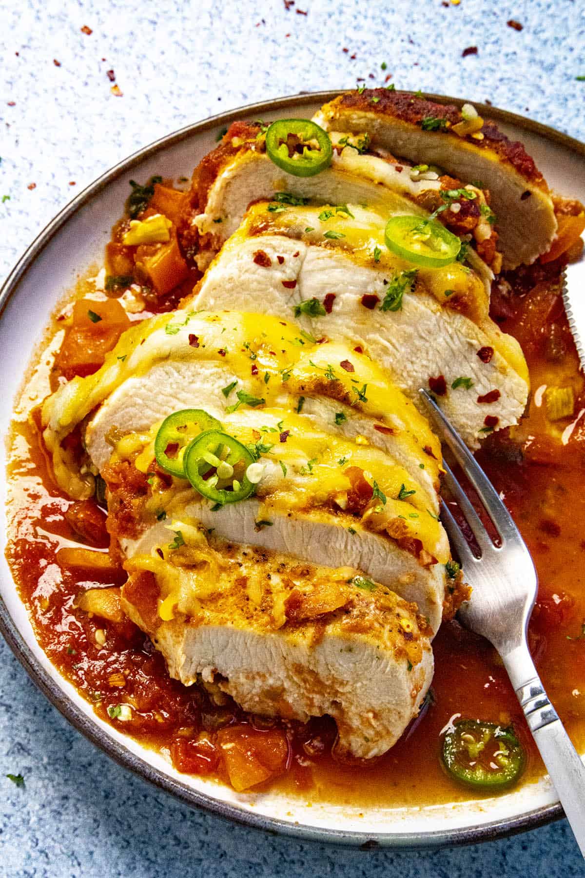 Salsa Chicken - Chili Pepper Madness