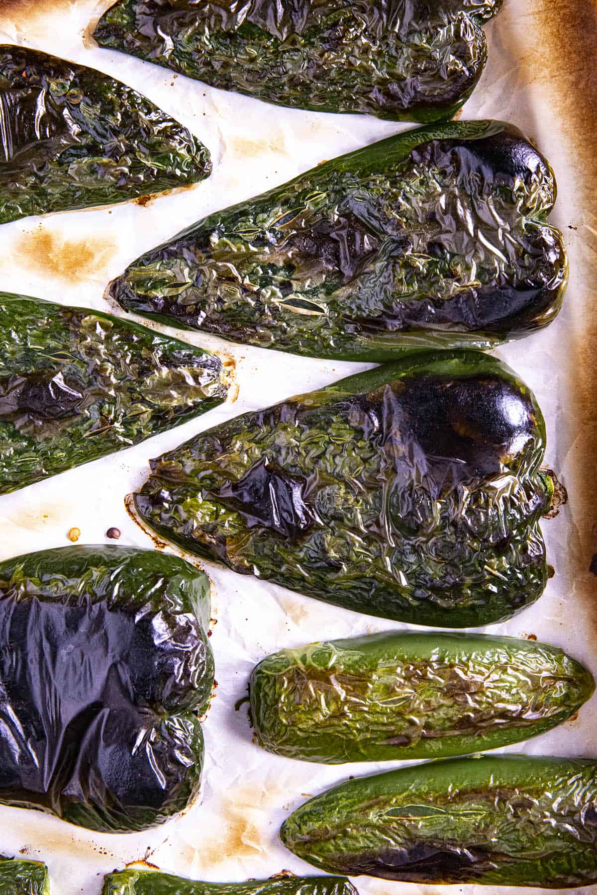 Spaghetti Verde - Chili Pepper Madness