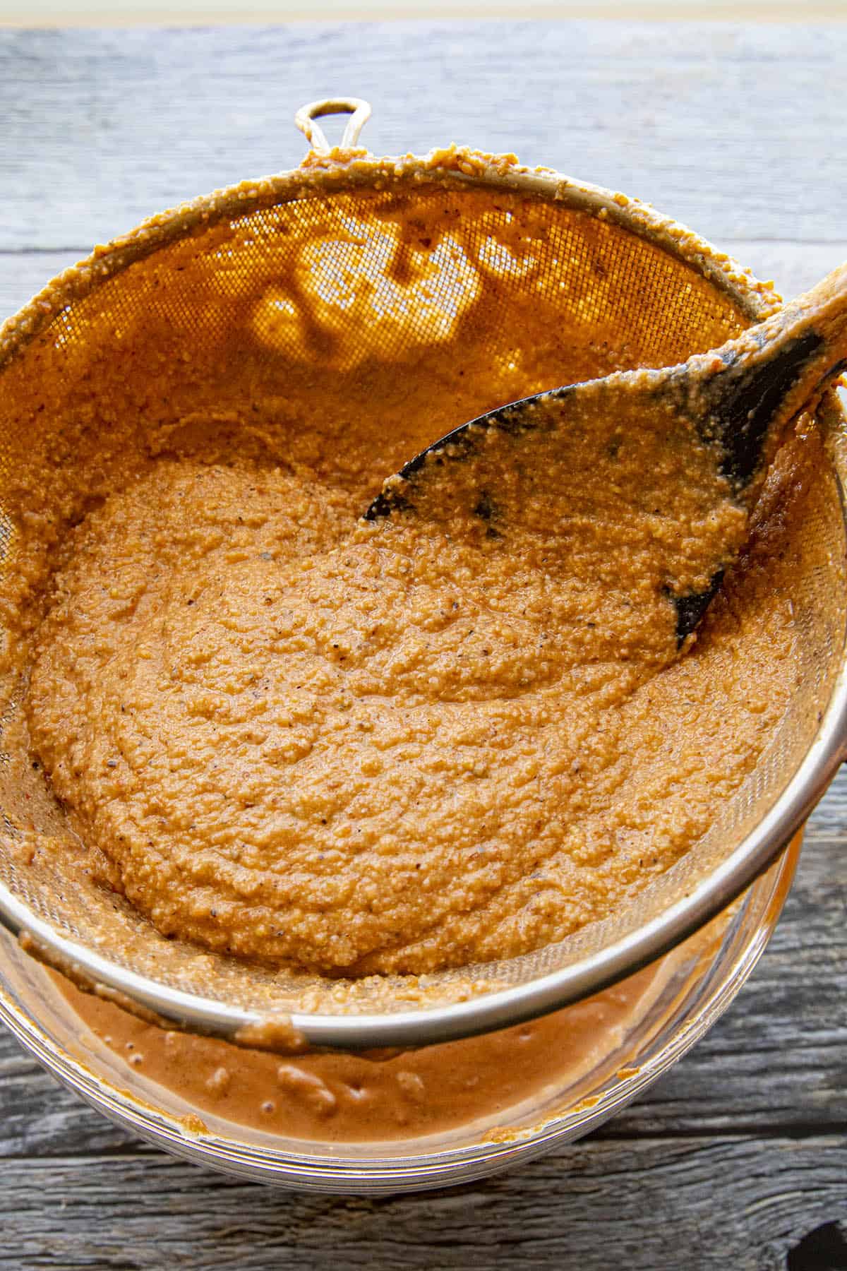 Mole Sauce: A Guide - Chili Pepper Madness