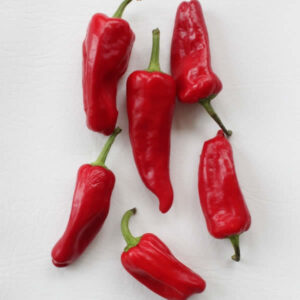 Pepper Info - Chili Pepper Madness