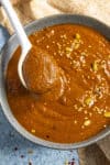 Pipian Rojo Recipe (Mexican Red Pipian Sauce) - Chili Pepper Madness