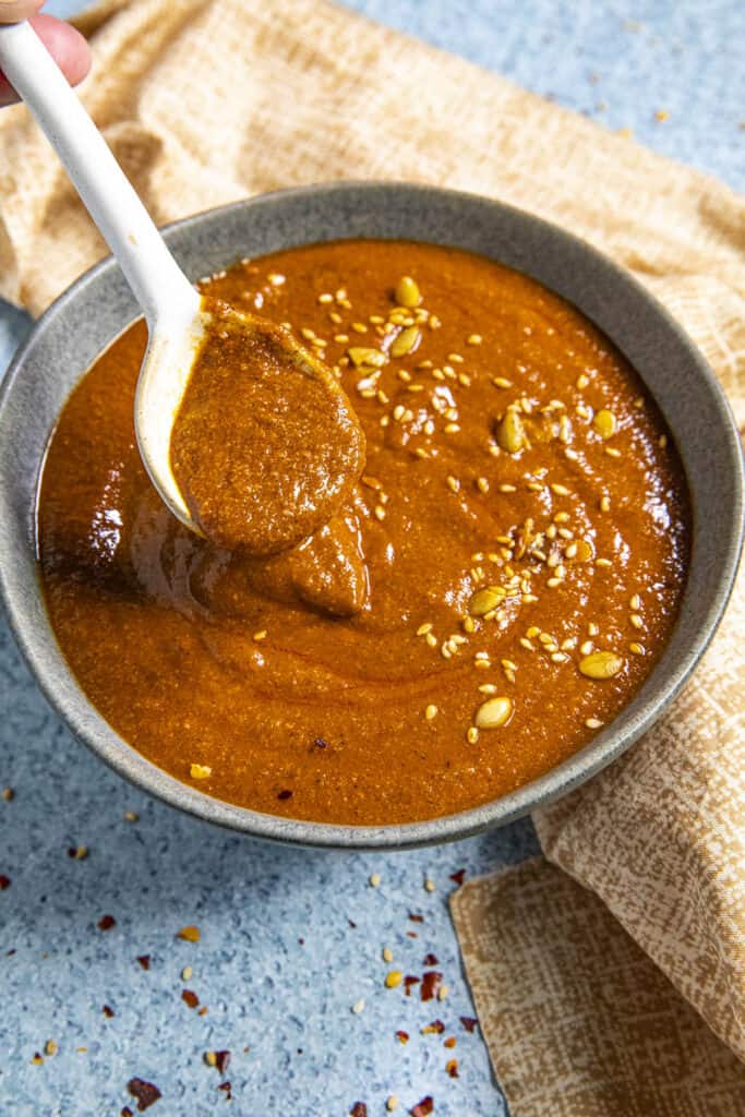 Pipian Rojo Recipe (Mexican Red Pipian Sauce) - Chili Pepper Madness