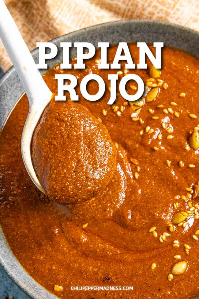 Pipian Rojo Recipe (Mexican Red Pipian Sauce) - Chili Pepper Madness