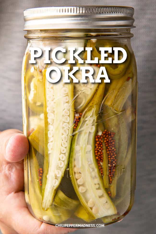 Quick Pickled Okra Recipe - Chili Pepper Madness