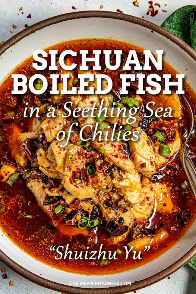 Shuizhu Yu (Boiled Fish in a Seething Sea of Chilies) - Chili Pepper ...