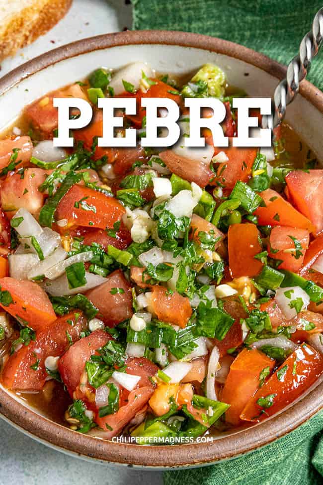 Chilean Pebre - Chili Pepper Madness