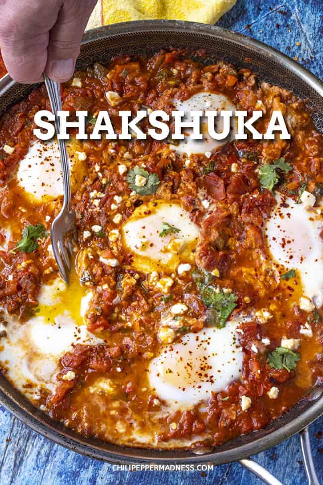 Best Shakshuka Recipe - Chili Pepper Madness