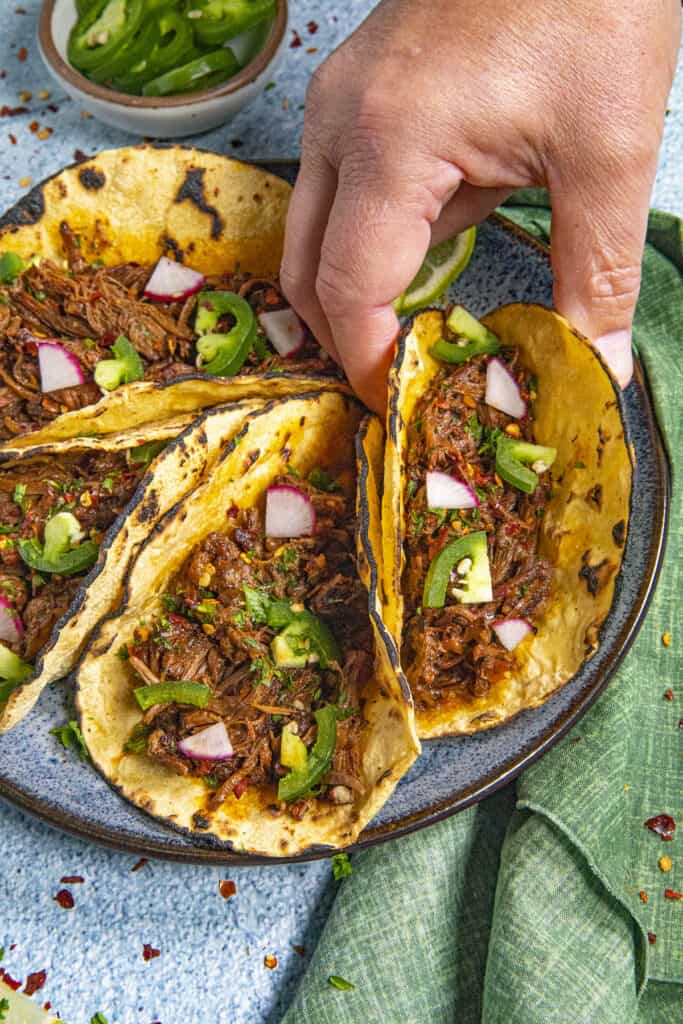 Barbacoa Tacos - Chili Pepper Madness